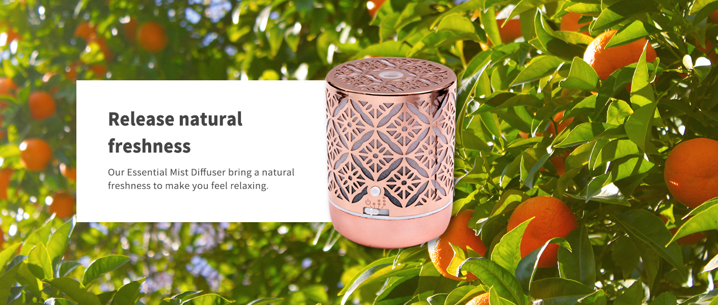 Essential Mist Diffuser | SCENTMAX